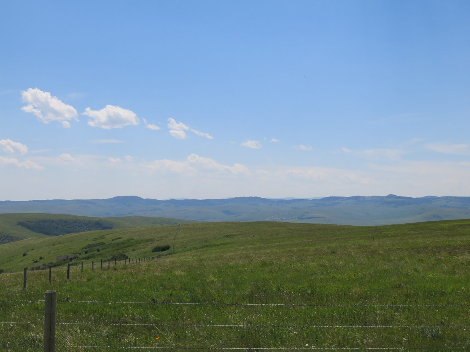 Stavely Research Station - Rangeland Research Institute (RRI)
